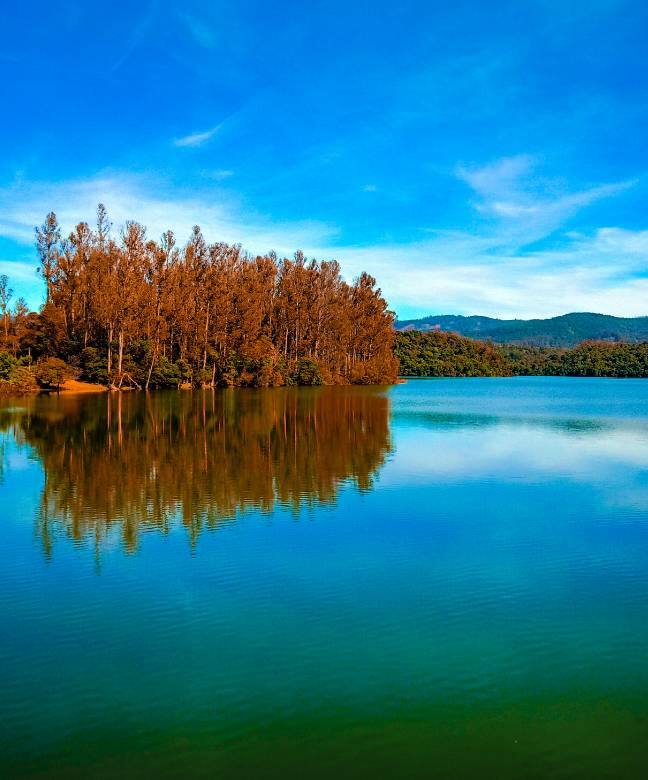 Book Tirupati to Ooty Flight Tickets at Lowest Price - Adani One
